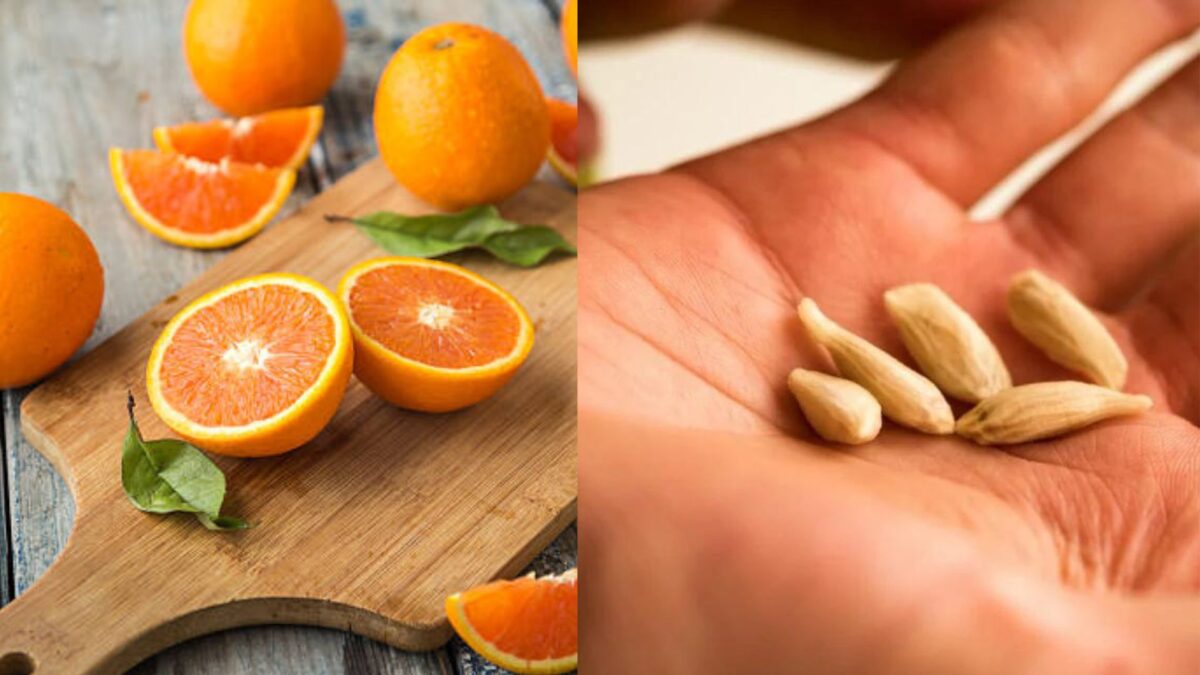 Know the Health and Practical Benefits of Orange Seeds